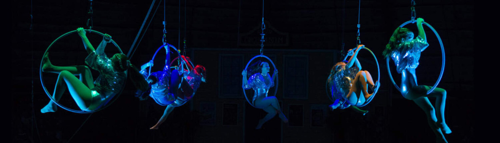 Beginner Lyra - The Circus Arts Conservatory | Sarasota