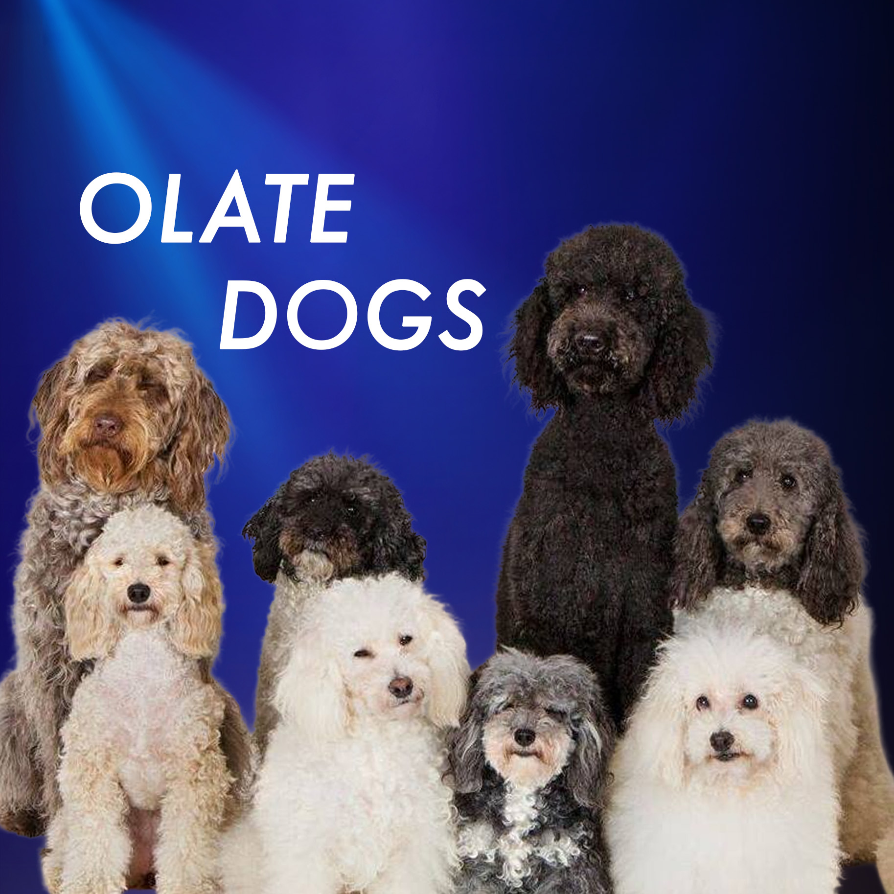 Olate Dogs - The Circus Arts Conservatory